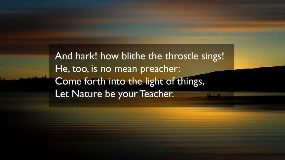 Eight beautiful William Wordsworth quotes on nature - BBC Culture