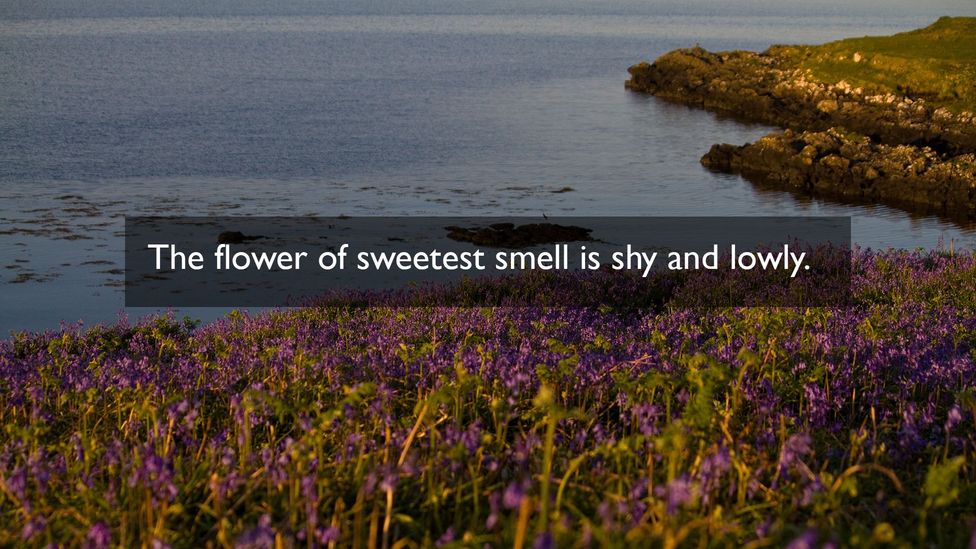 Eight beautiful William Wordsworth quotes on nature - BBC Culture