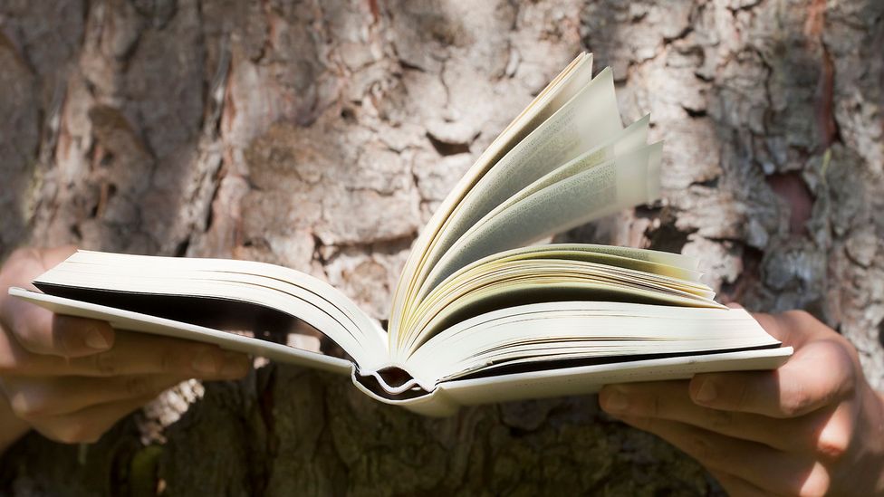 Eight poems on the beauty of the world - BBC Culture