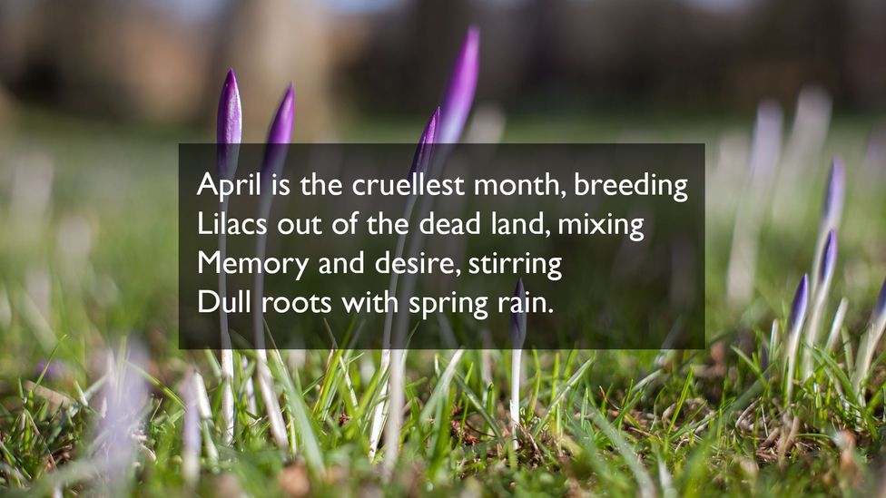 Eight poems on the beauty of the world - BBC Culture