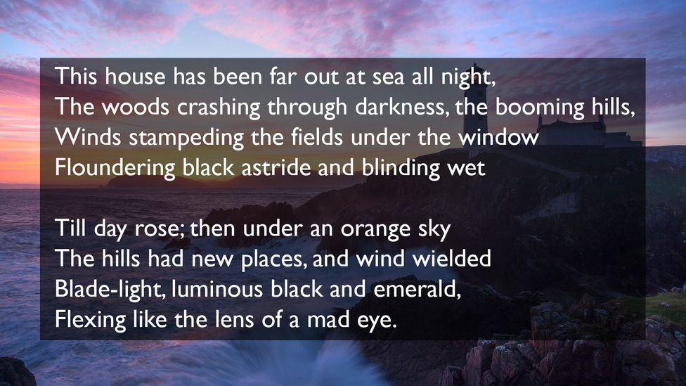 Eight poems on the beauty of the world - BBC Culture