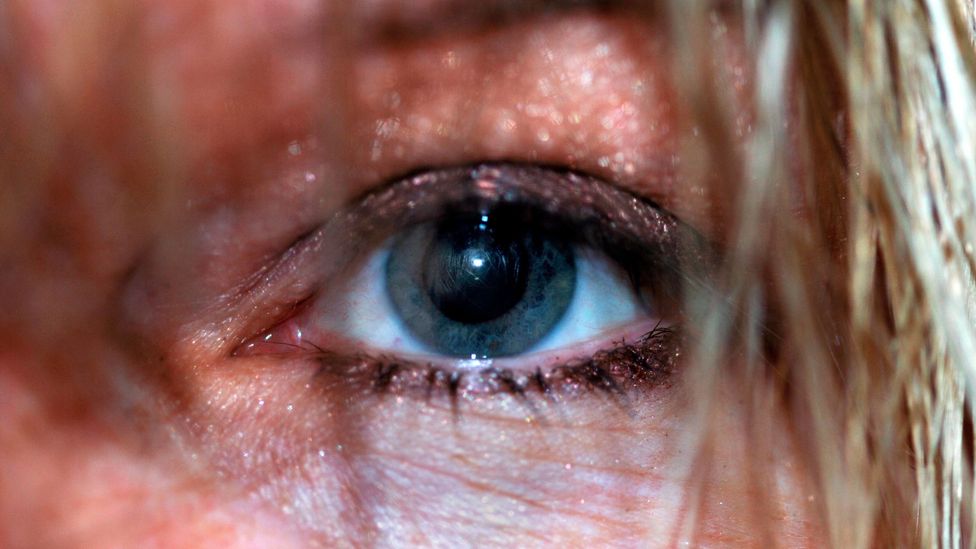Meet the people who see nearly everything we post online - BBC Worklife