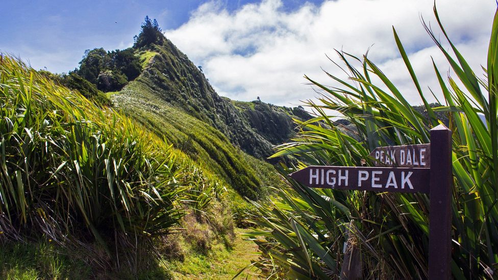 The island ready to welcome the world - BBC Travel