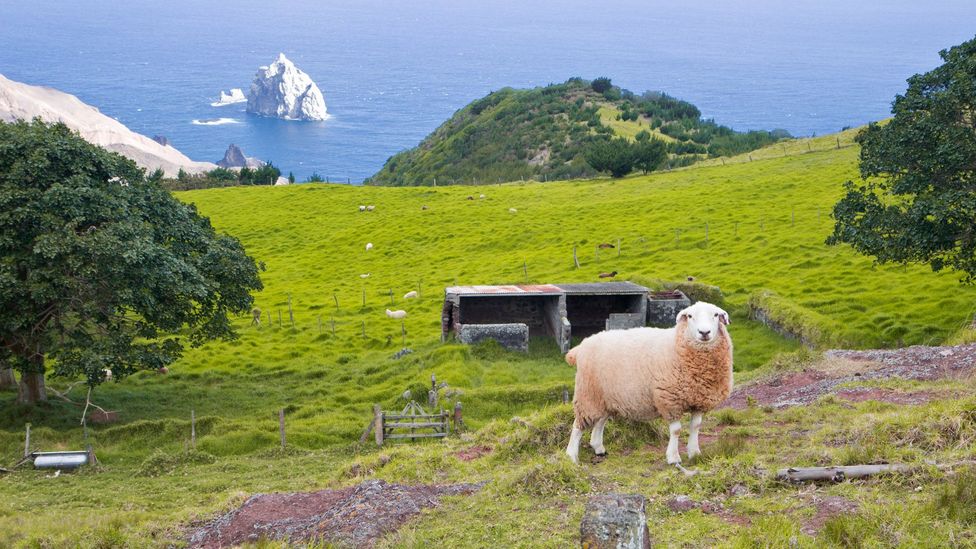 The island ready to welcome the world - BBC Travel