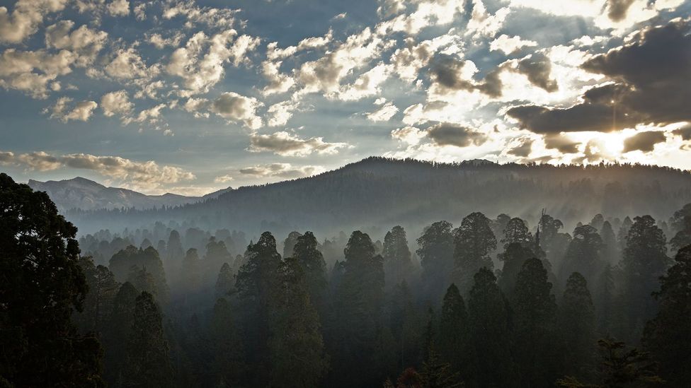 A humbling view from ancient giants - BBC Travel