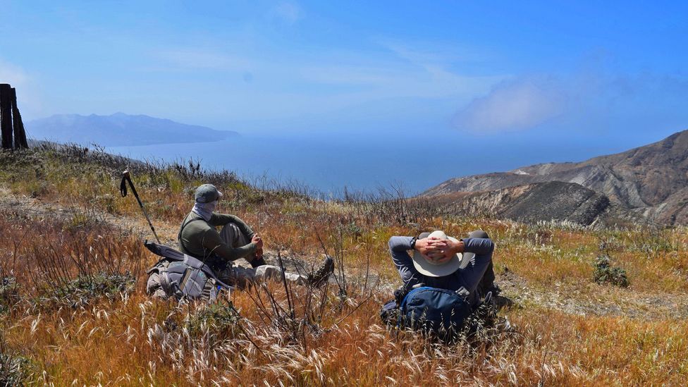 A man who saves eagles by helicopter - BBC Travel