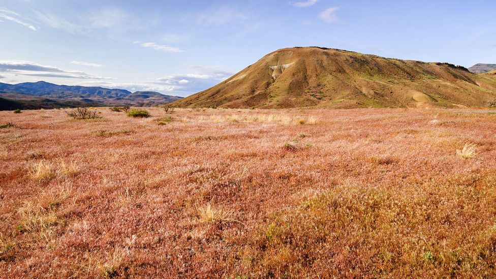 Oregon’ five-million-acre alien landscape - BBC Travel