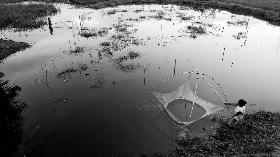 Stunning photos of a fragile world - BBC Travel