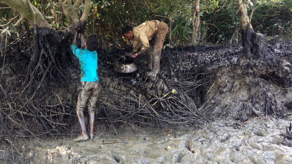 Stunning photos of a fragile world - BBC Travel