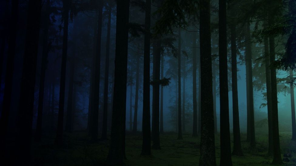 How it feels to live in darkness - BBC Future