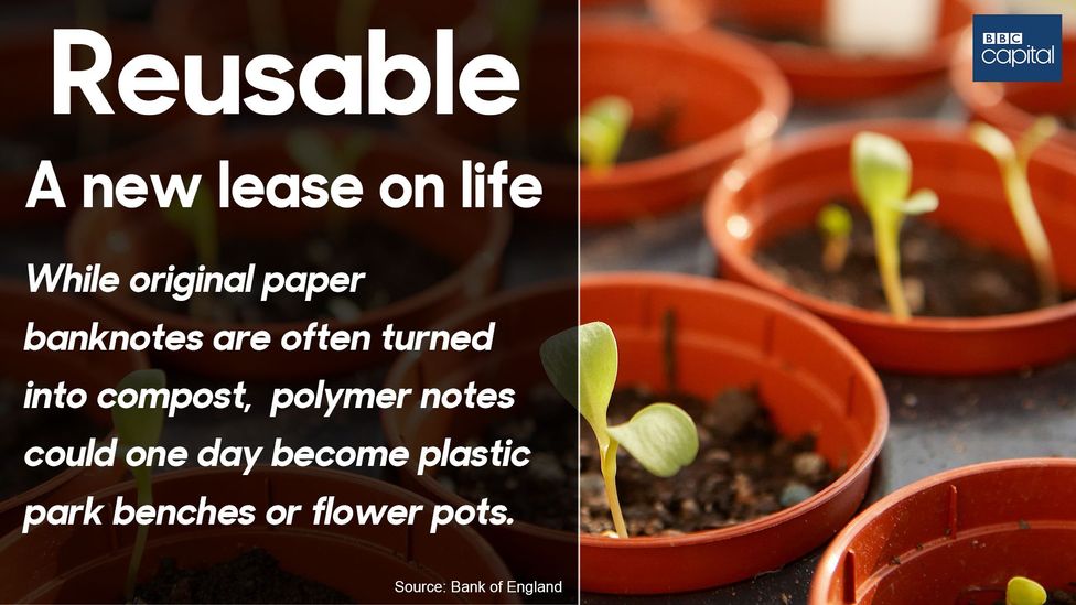 Five things to know about the new fiver - BBC Worklife