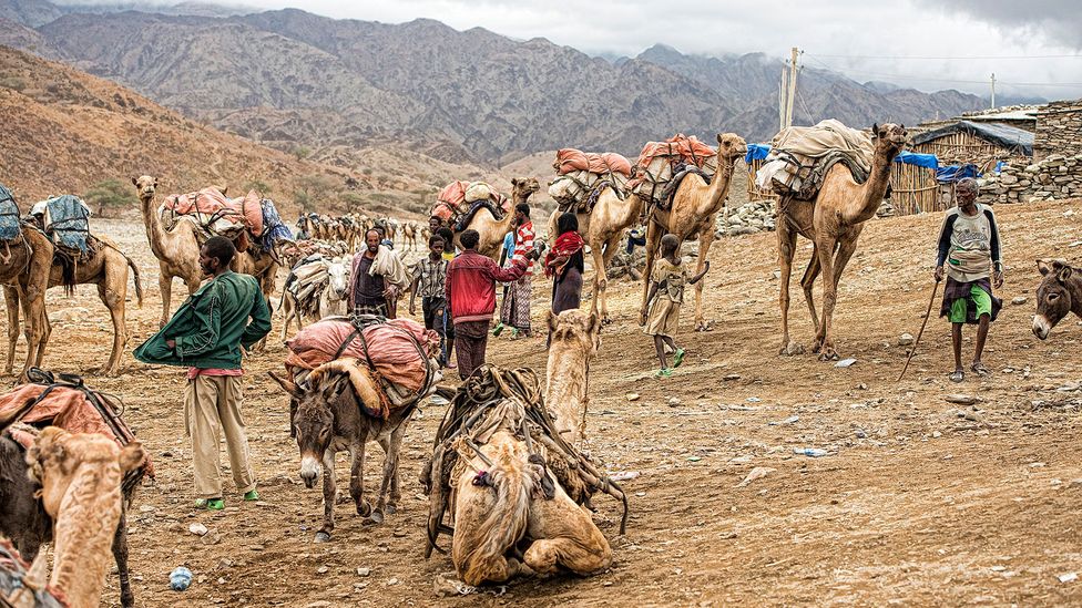 Inside Ethiopia’s sizzling cauldron - BBC Travel