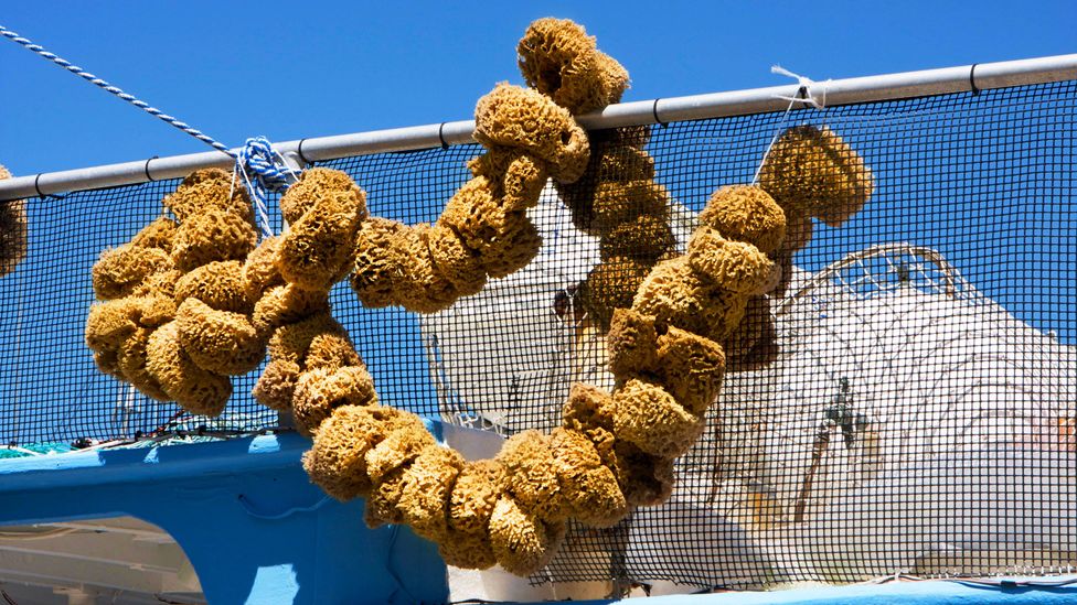 The last of the Greek sponge divers - BBC Travel