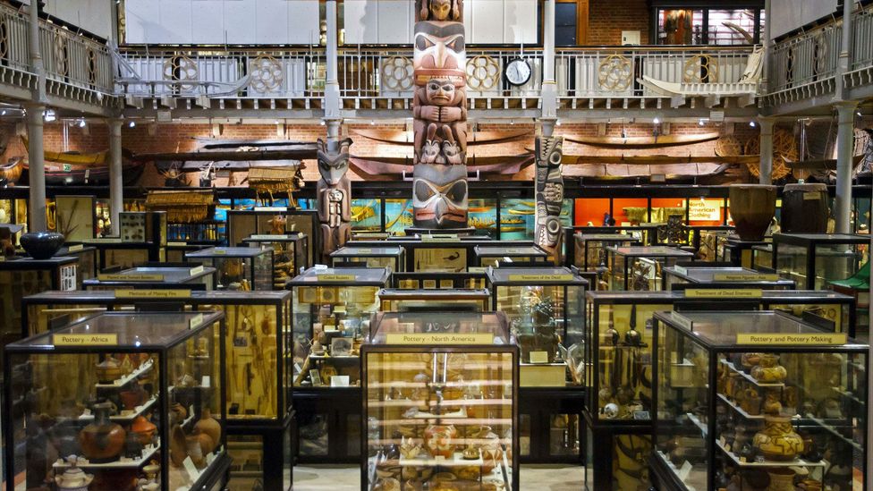A museum of 500,000 oddities - BBC Travel