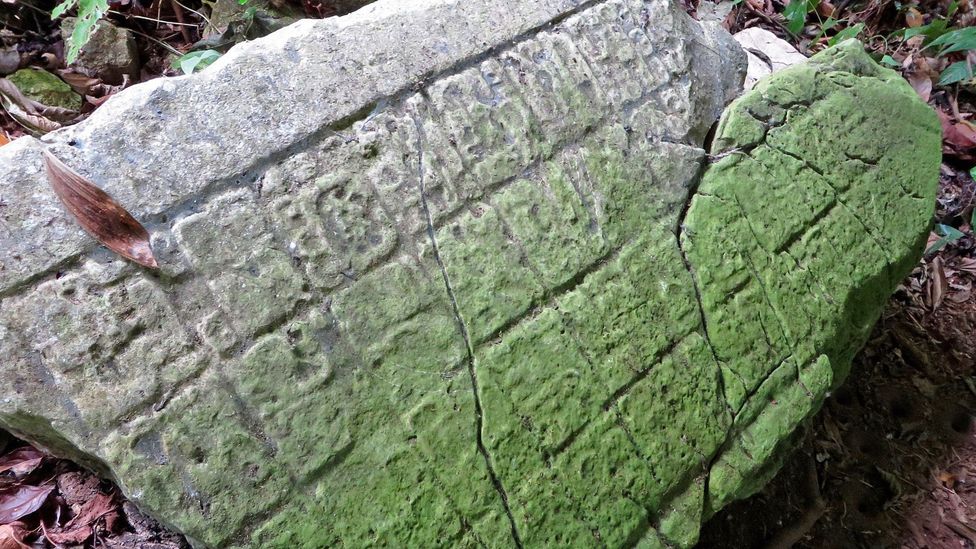 Mexico’s 500-year jungle dwellers - BBC Travel