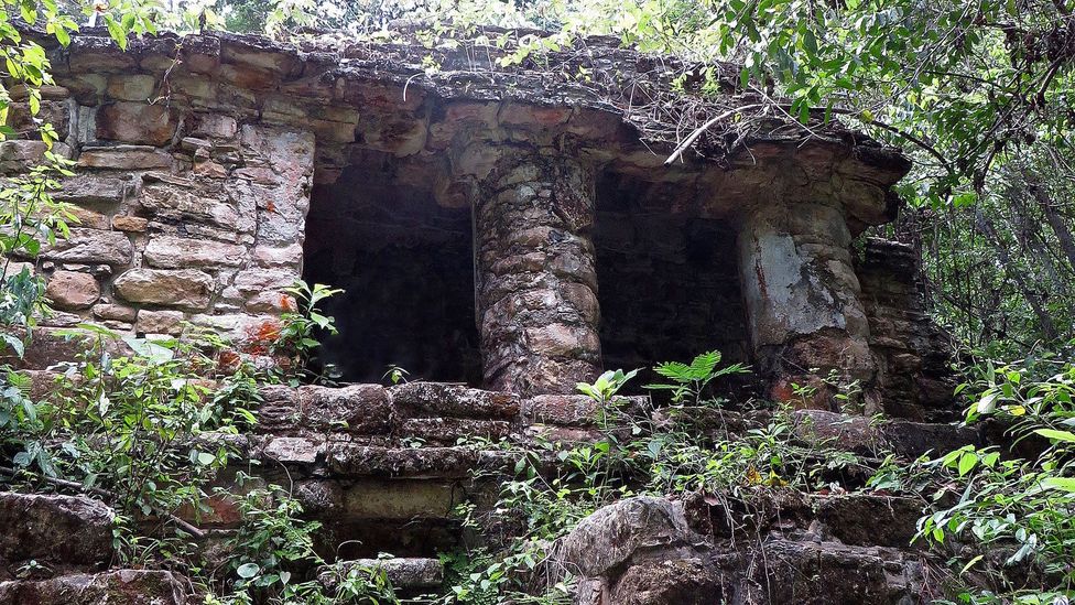 Mexico’s 500-year jungle dwellers - BBC Travel