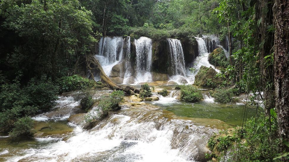 Mexico’s 500-year jungle dwellers - BBC Travel