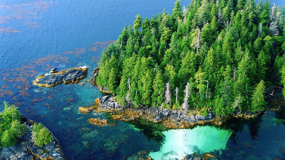 A surprising way of showing gratitude - BBC Travel