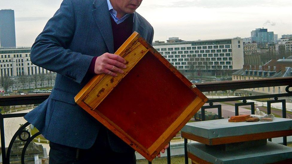 The libation made 20m below Paris - BBC Travel