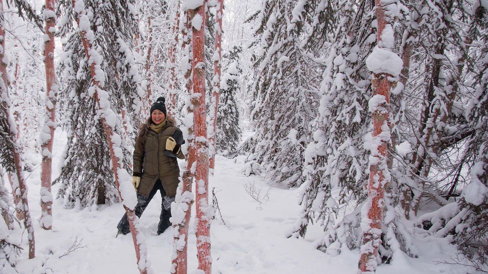 The people making films above the 60th parallel - BBC Travel