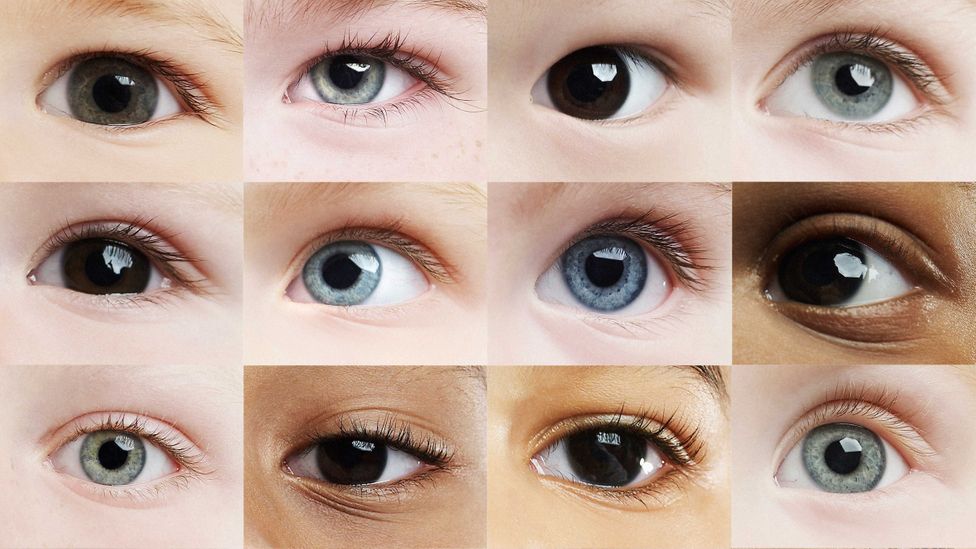 The surprisingly unique parts of your body - BBC Future