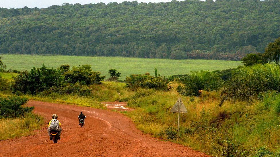 The last guardians of a python spirit - BBC Travel