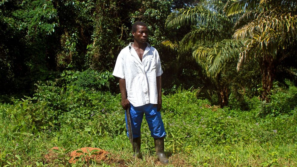 The last guardians of a python spirit - BBC Travel