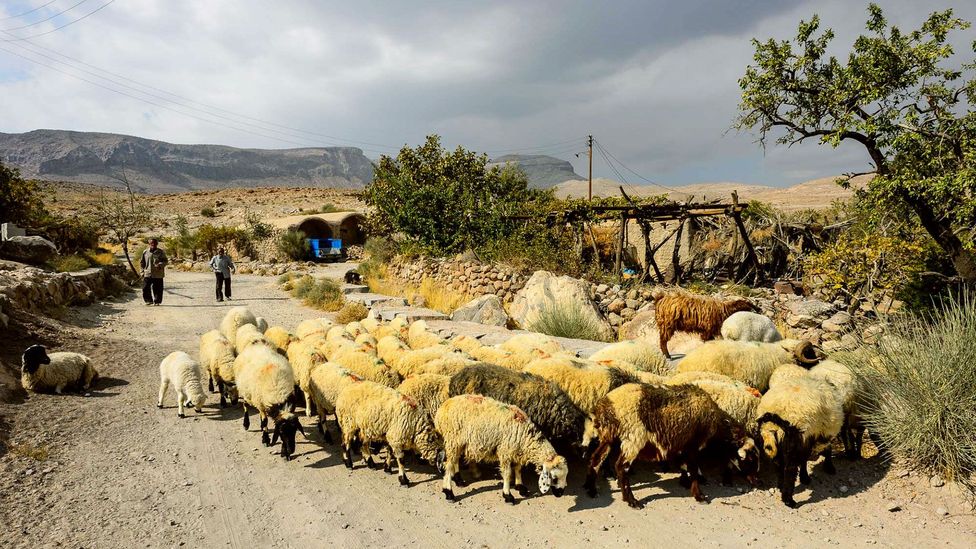 The last troglodytes of Iran - BBC Travel