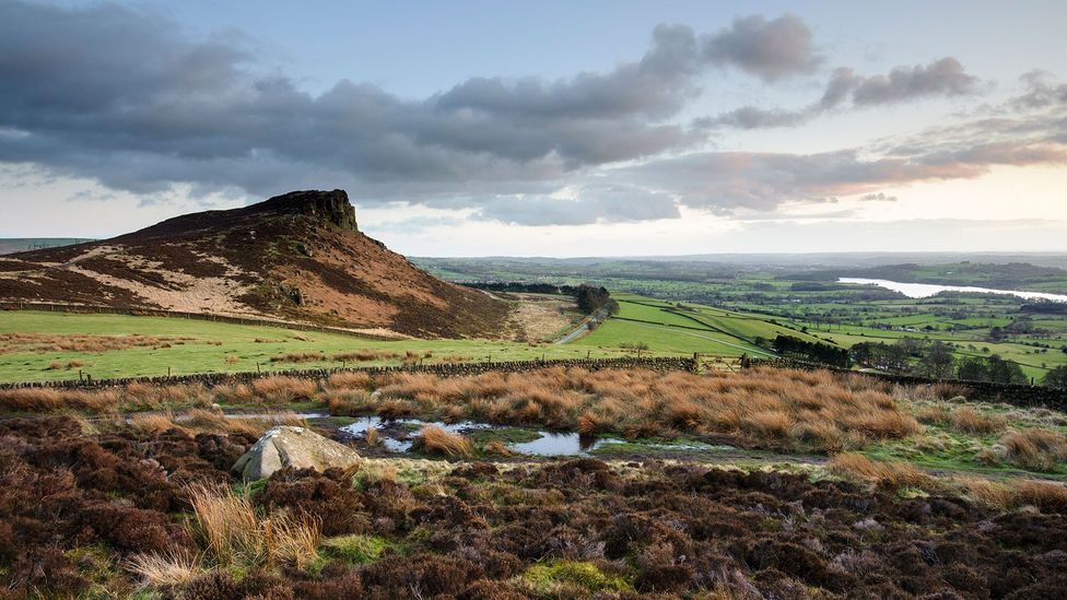 The English moor where wallabies roam - BBC Travel