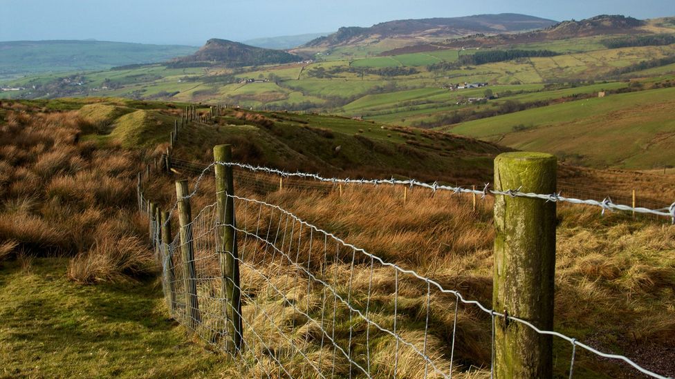 The English moor where wallabies roam - BBC Travel