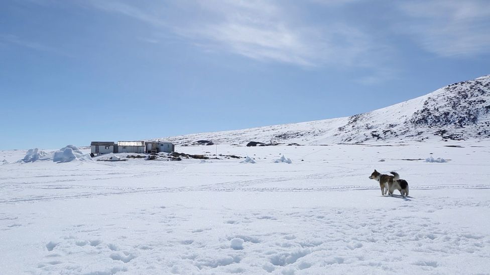 The iceberg capital of the world - BBC Travel