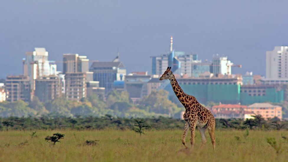Nairobi - BBC Travel
