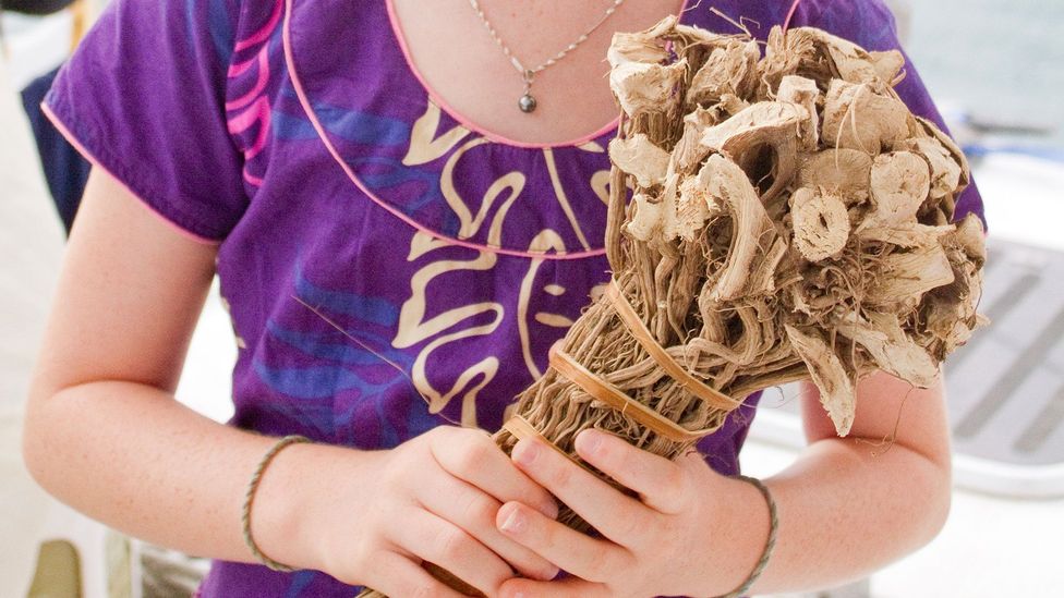 The Fijian villages that require approval to enter - BBC Travel