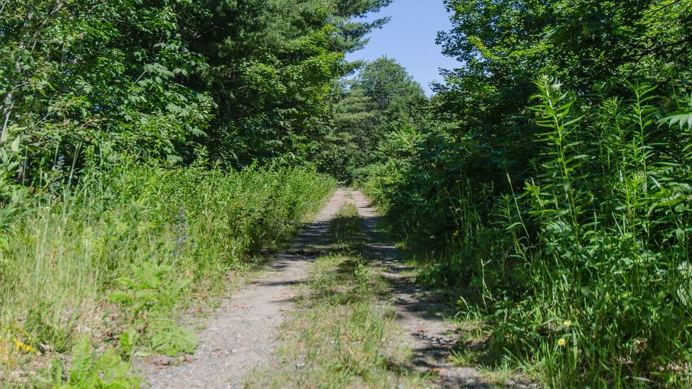 Ontario’s forgotten ghost town - BBC Travel