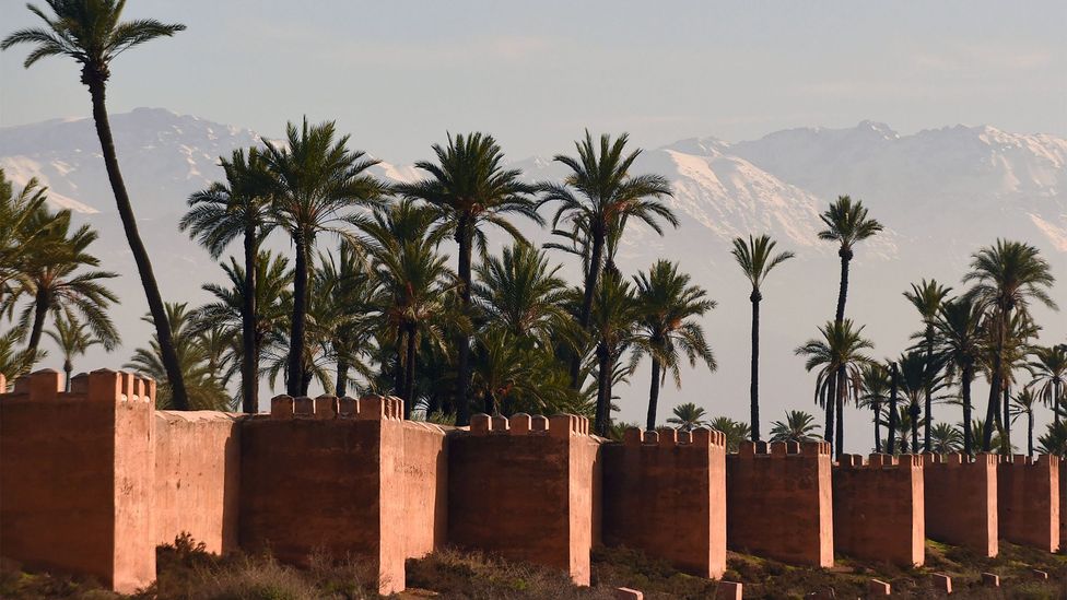 Preserving Morocco's grand gardens - BBC Culture