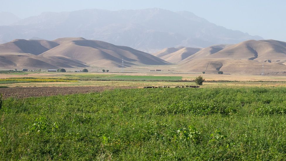 Is oshi palav the 'king of meals’? - BBC Travel