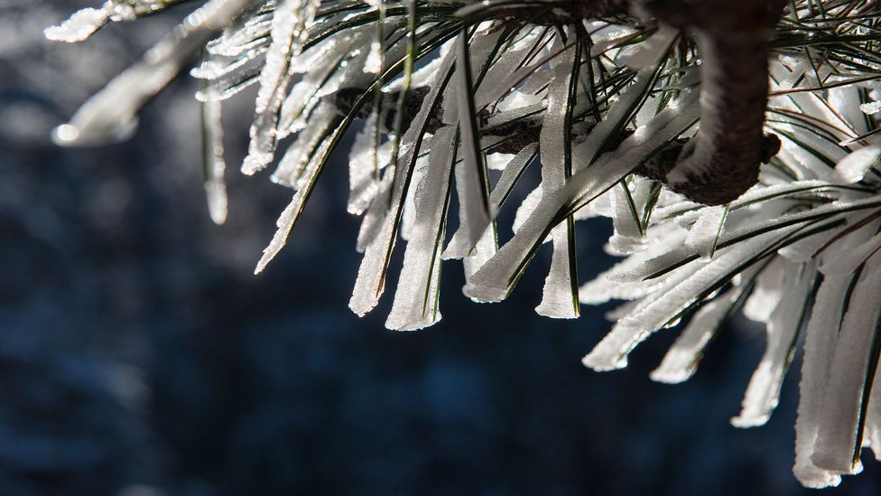 China’s spectacular mountains encased in ice - BBC Travel