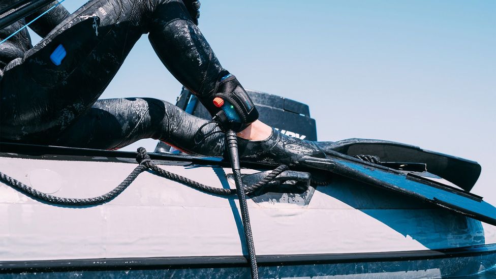 Can technology save you from a shark attack? - BBC Future