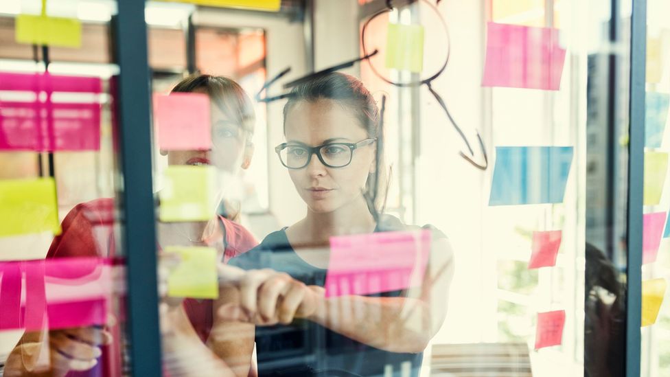 Clever people spark greater cooperation - BBC Worklife