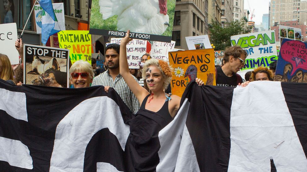 The Economics of Change - BBC Worklife