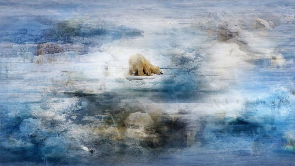 How to see climate change through other eyes - BBC Future