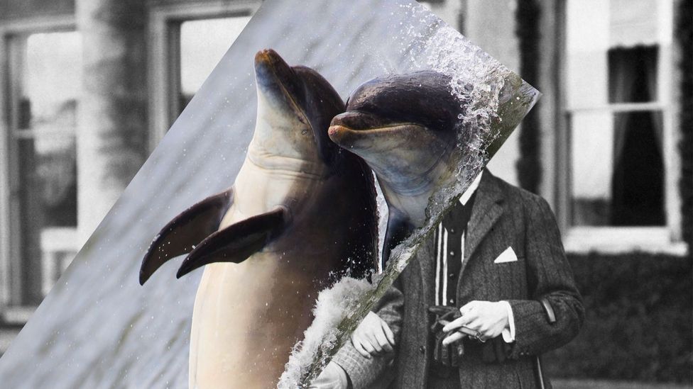 The power of our hidden senses - BBC Future