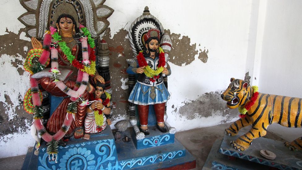 The people who live with tigers - BBC Travel