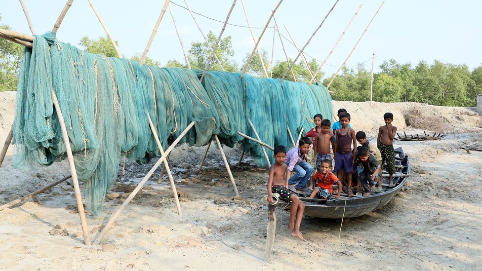 The people who live with tigers - BBC Travel