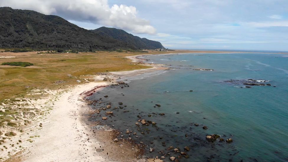 Chile’s wild pirate island - BBC Travel