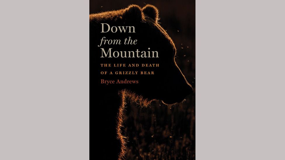 Ten books to read this April - BBC Culture