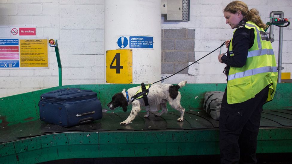 The border guards you can’t win over with a smile - BBC Future