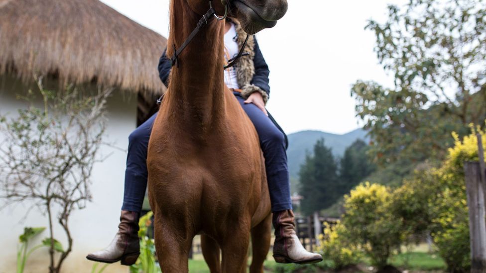 Colombia’s indomitable ‘horse whisperer’ - BBC Travel