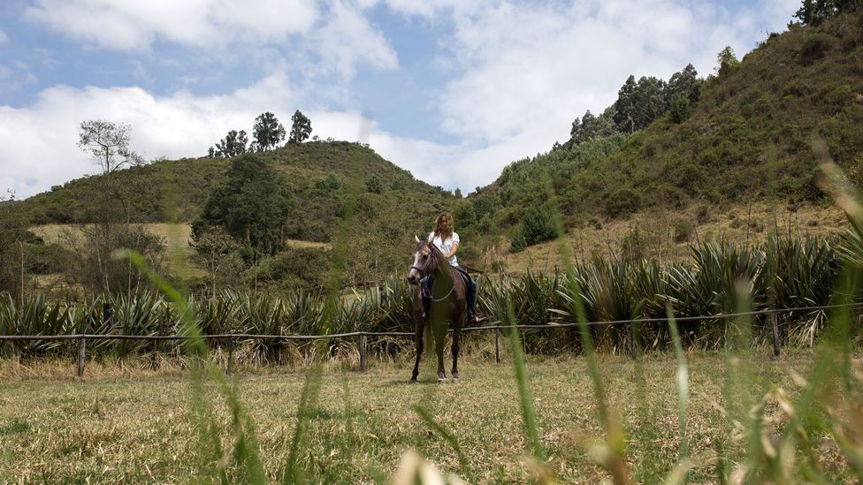 Colombia’s indomitable ‘horse whisperer’ - BBC Travel