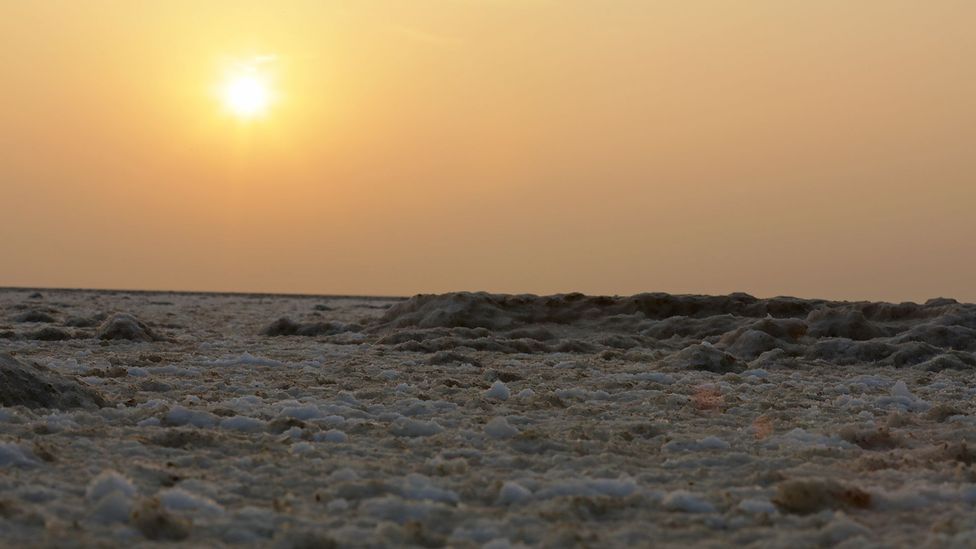 India’s surreal salt desert - BBC Travel